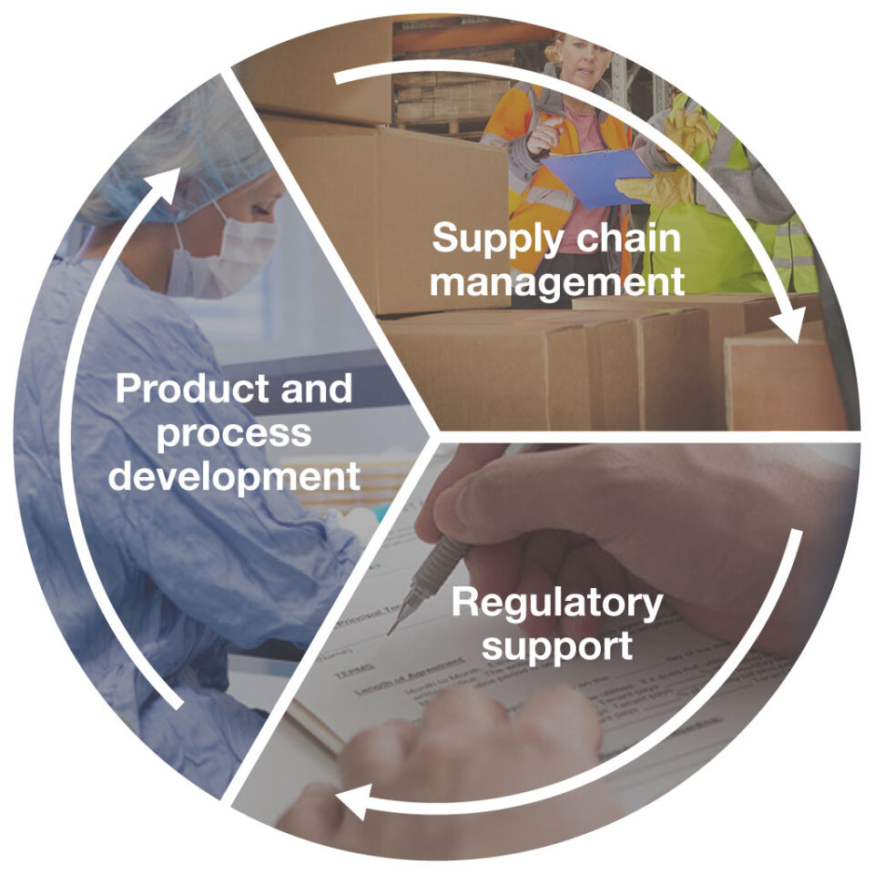 Our Services – Allergon